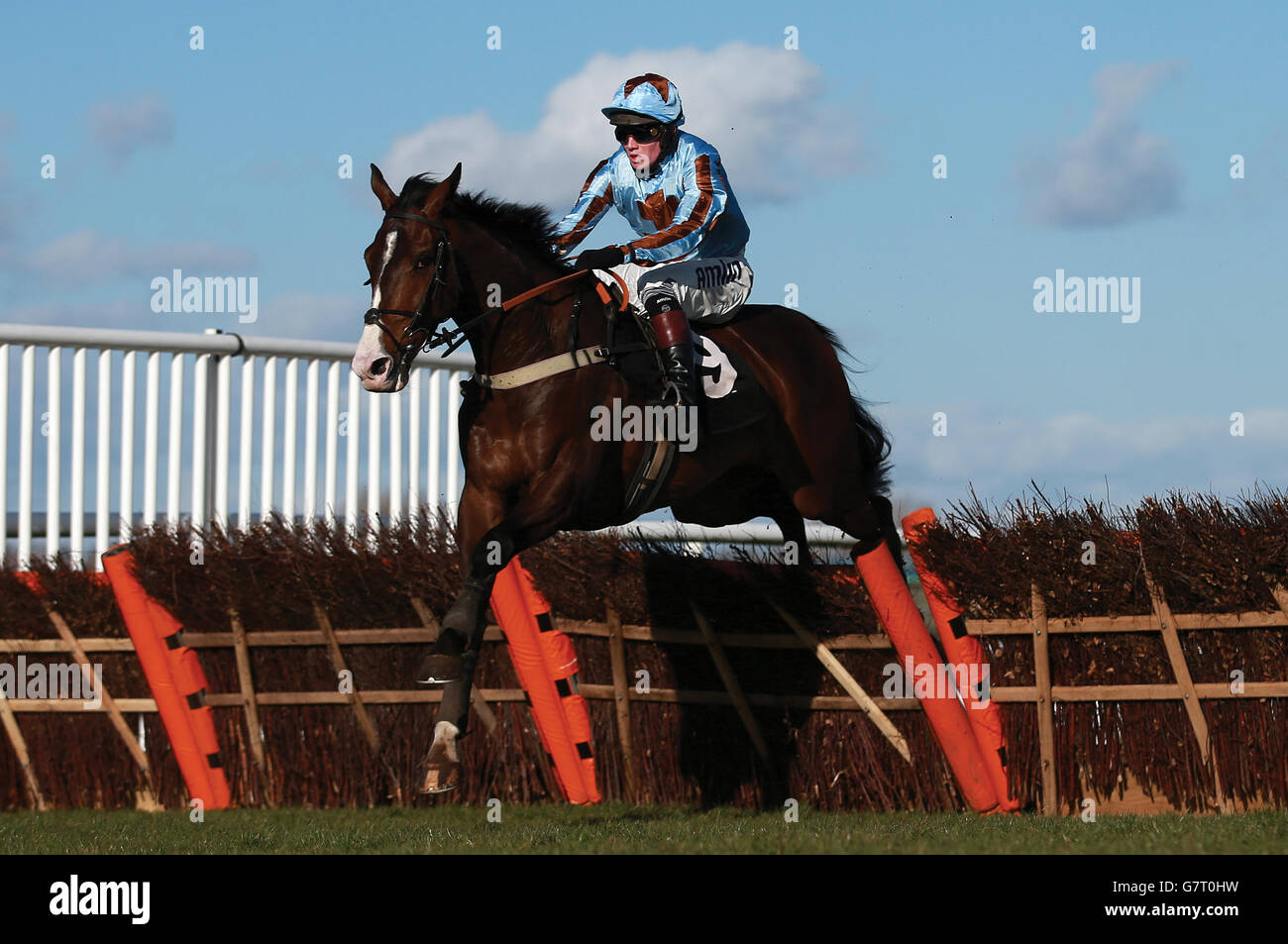 Horse Racing - Sri Lankan Raceday - Newbury Racecourse Stock Photo - Alamy