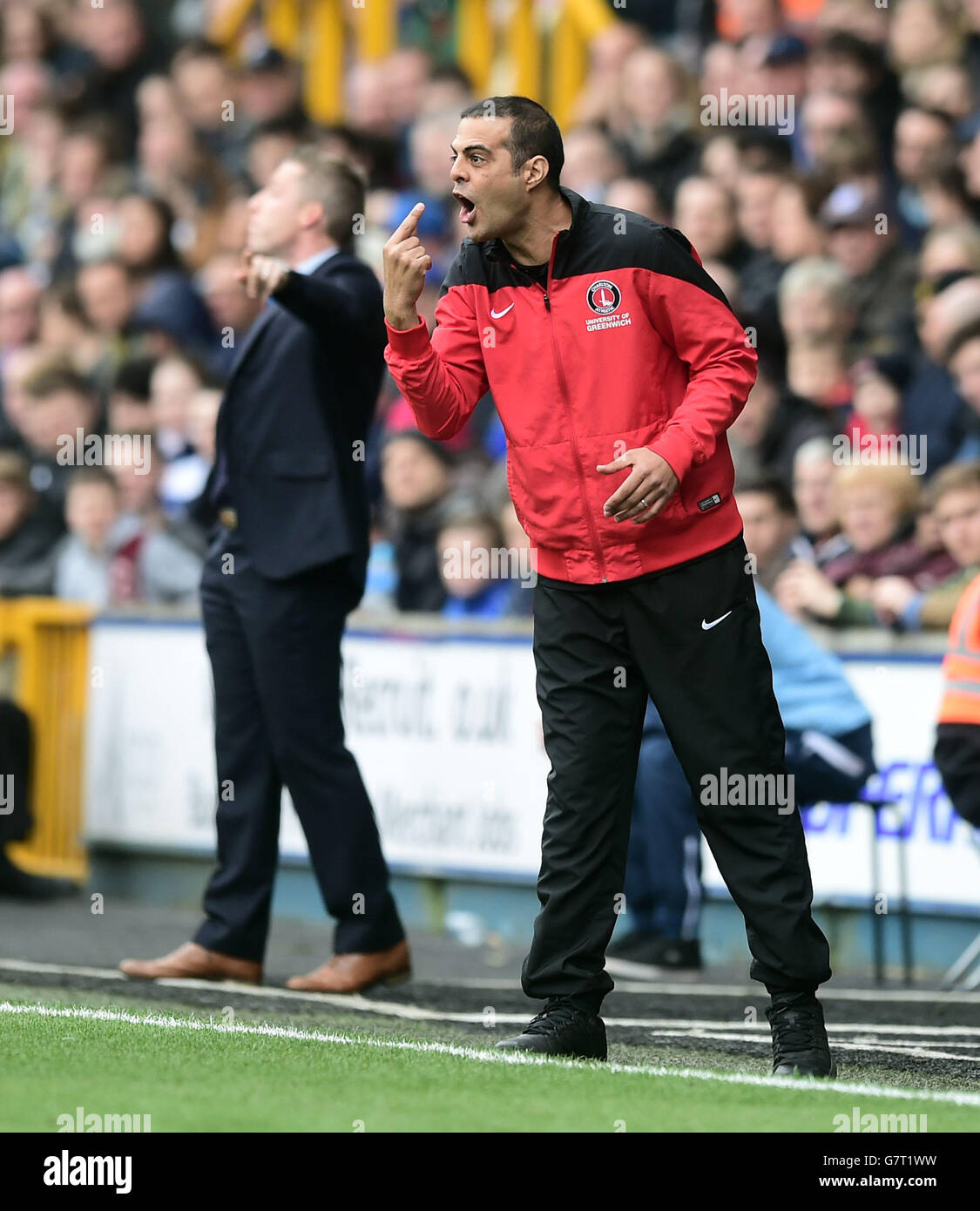 Charlton Athletic's Manager Guy Luzon during the game Stock Photo - Alamy