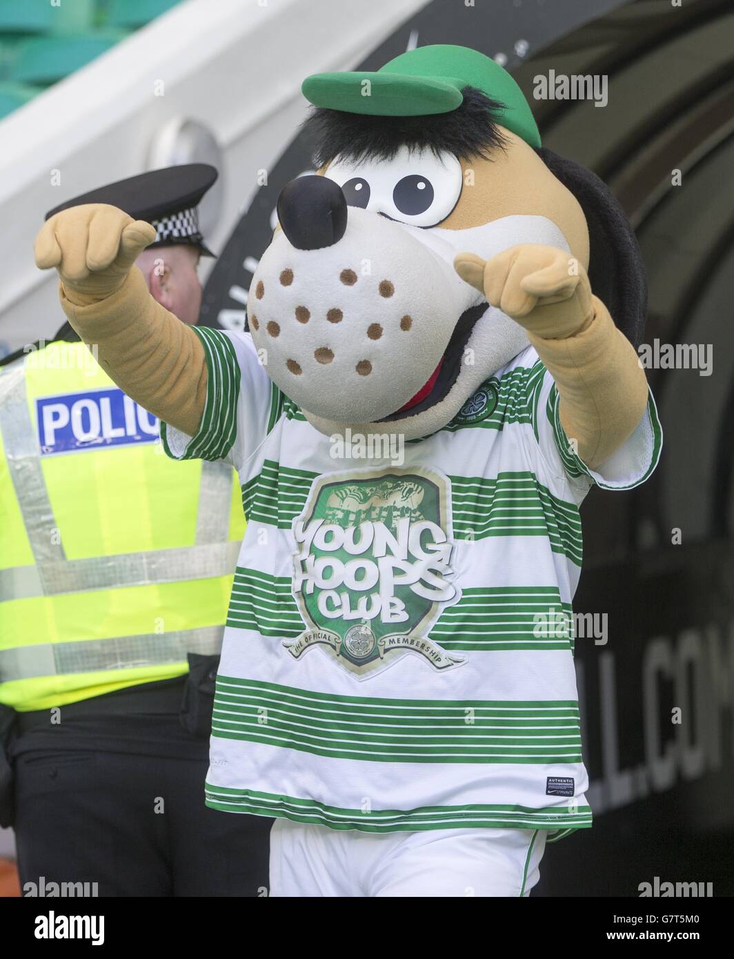 Celtic park celtic mascot hoopy the huddle hound hi-res stock ...