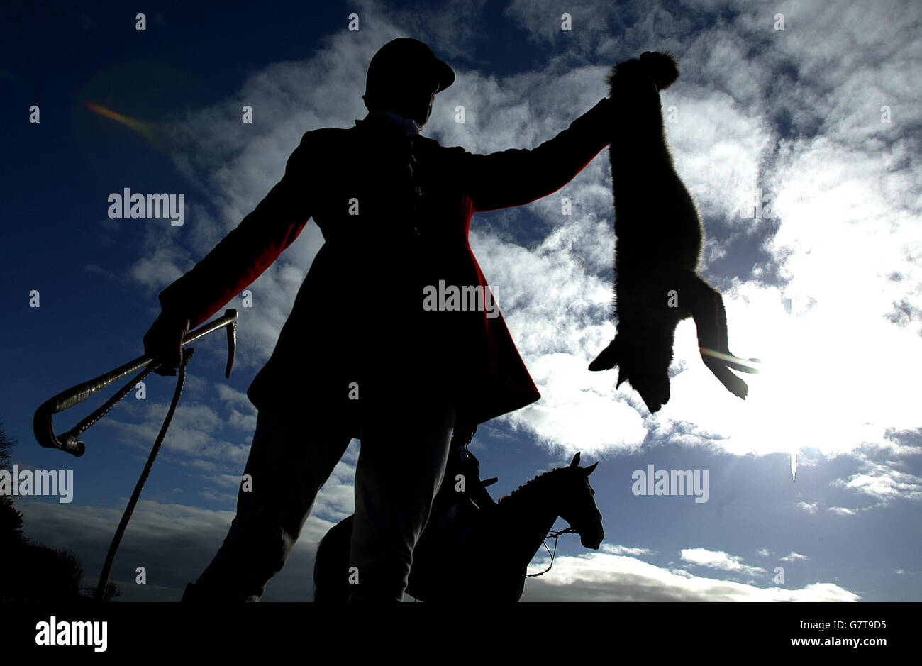 A huntsman holds up a fox after it was shot in the South Durham Hunt ...