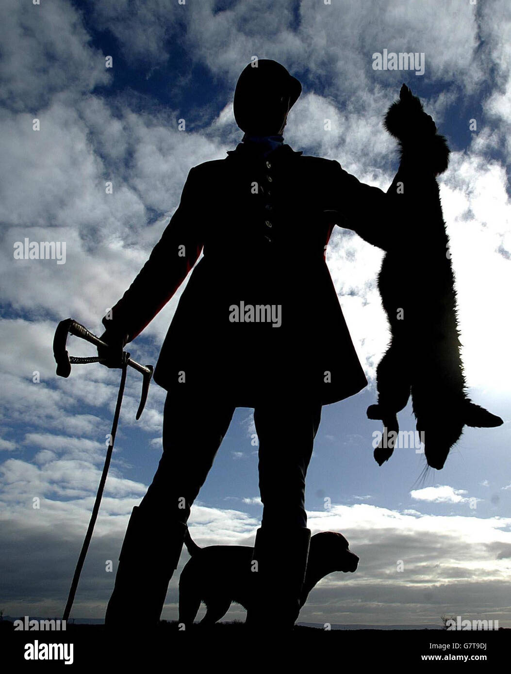 First Day Of Hunting Ban. A huntsman holds up a fox after it was shot ...