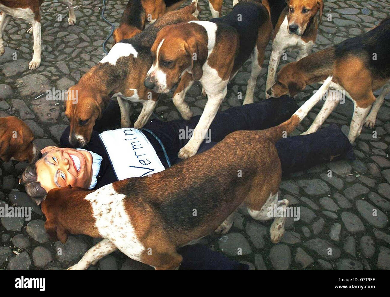 First Day Of Hunting Ban Stock Photo - Alamy