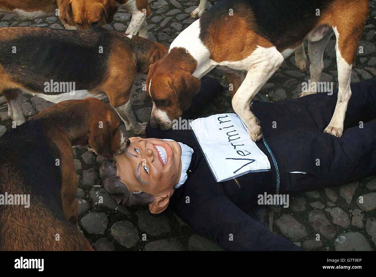 First Day Of Hunting Ban Stock Photo - Alamy