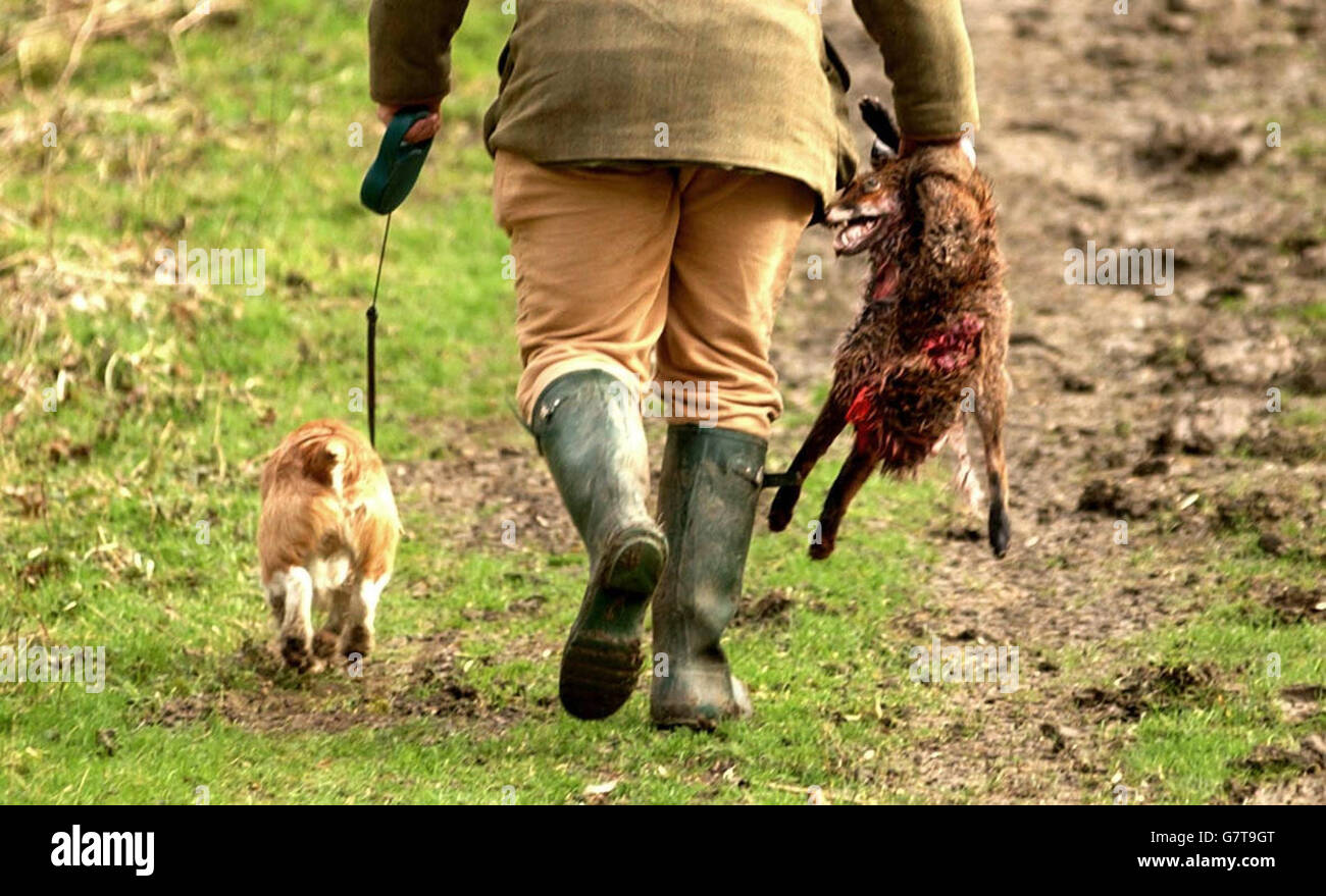 Gamekeeper carries dead hi-res stock photography and images - Alamy