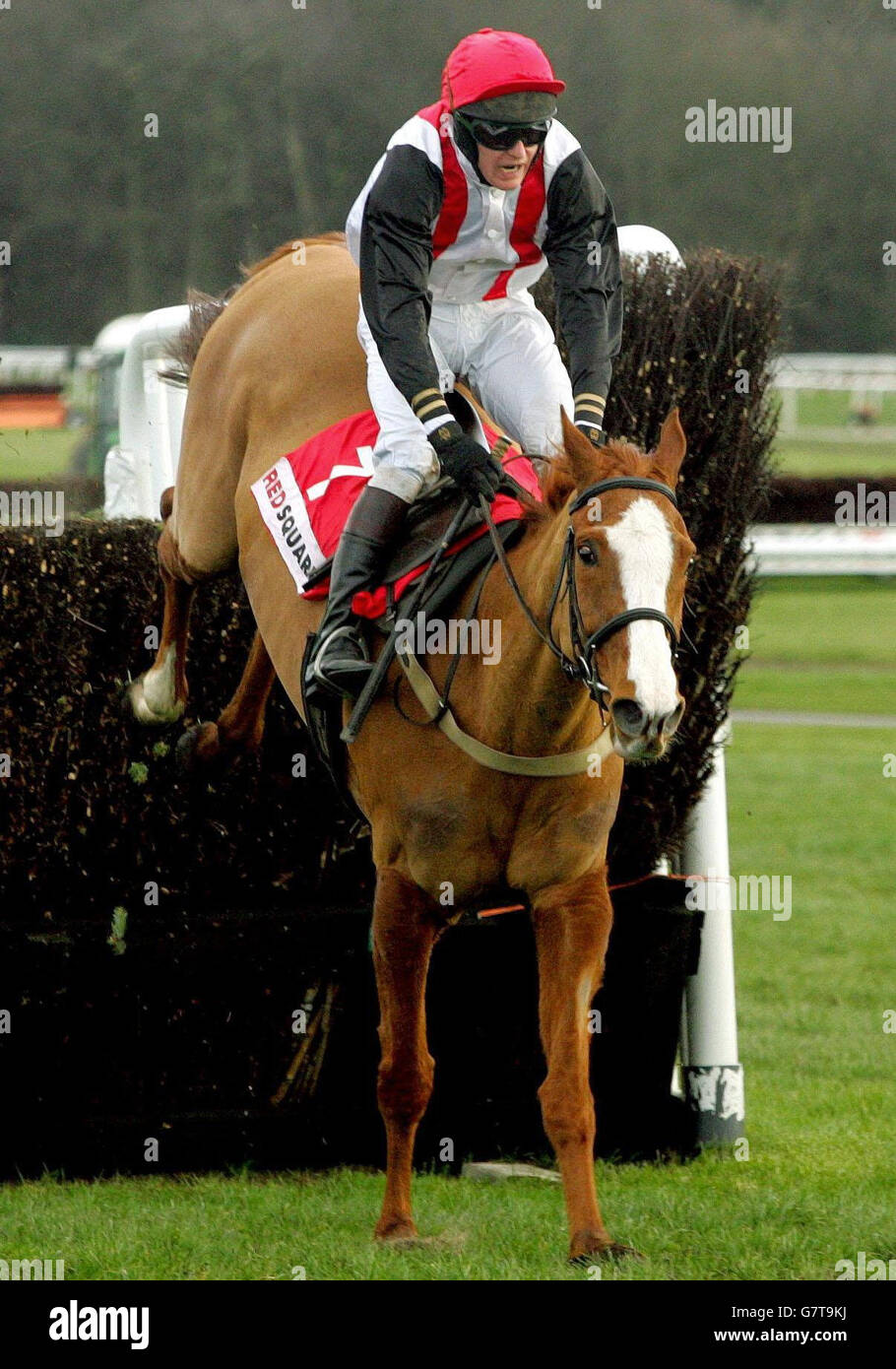 Forest Gunner and jockey Peter Buchanan jumps the last and goes on to ...