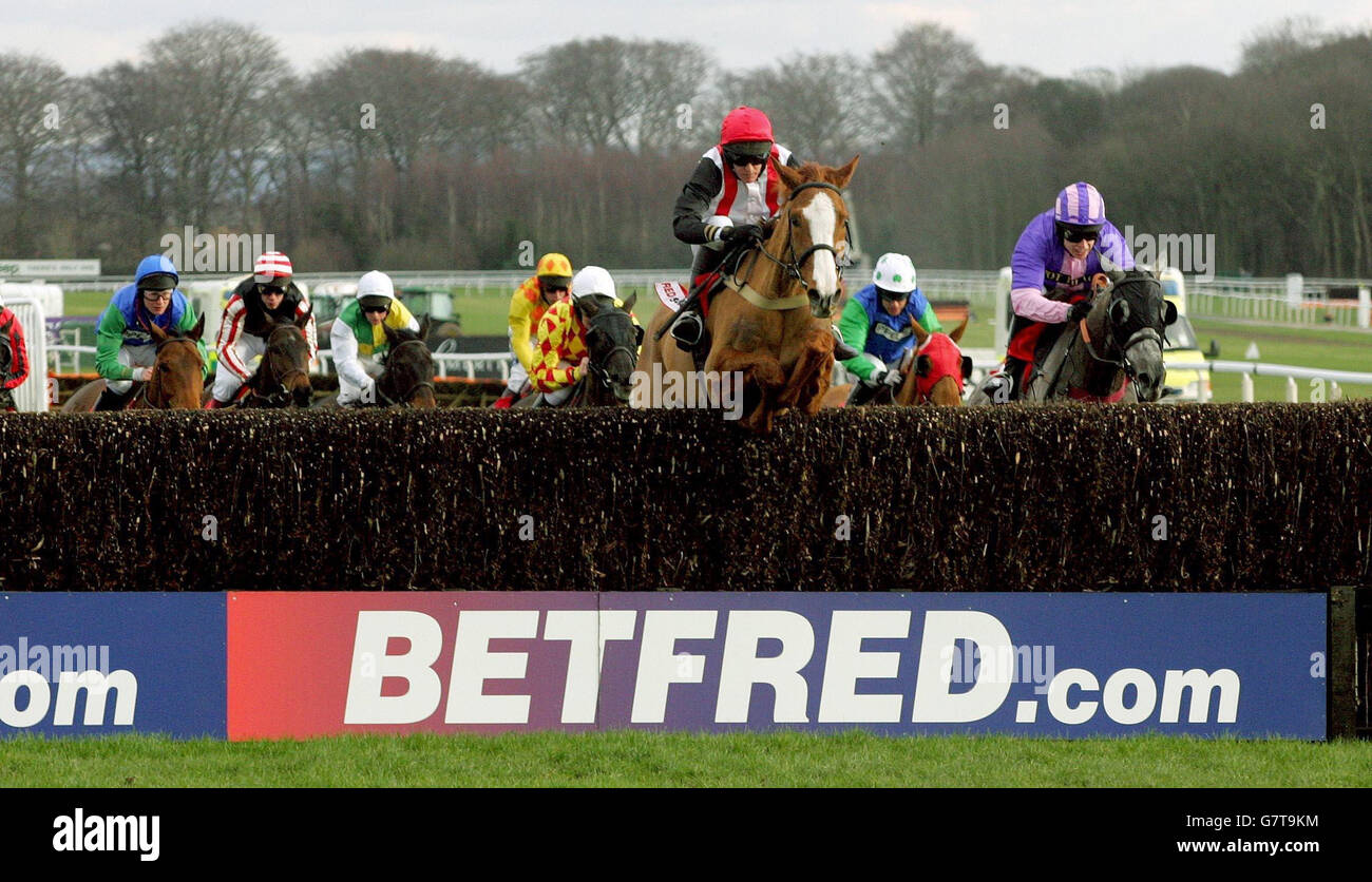 Horse Racing - Red Square Vodka Gold Cup - Forest Gunner - Haydock ...
