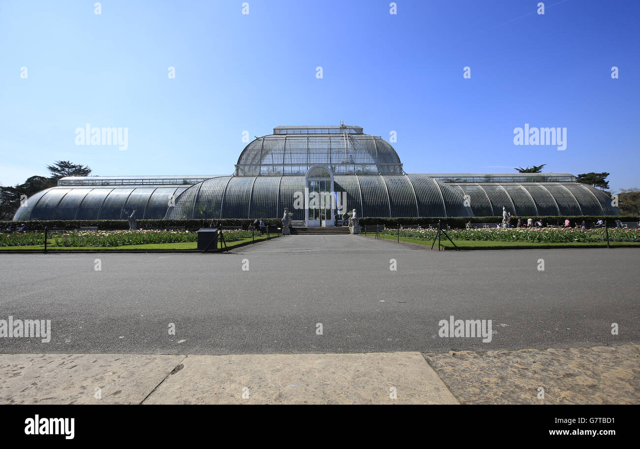 The Palm House stock Stock Photo - Alamy