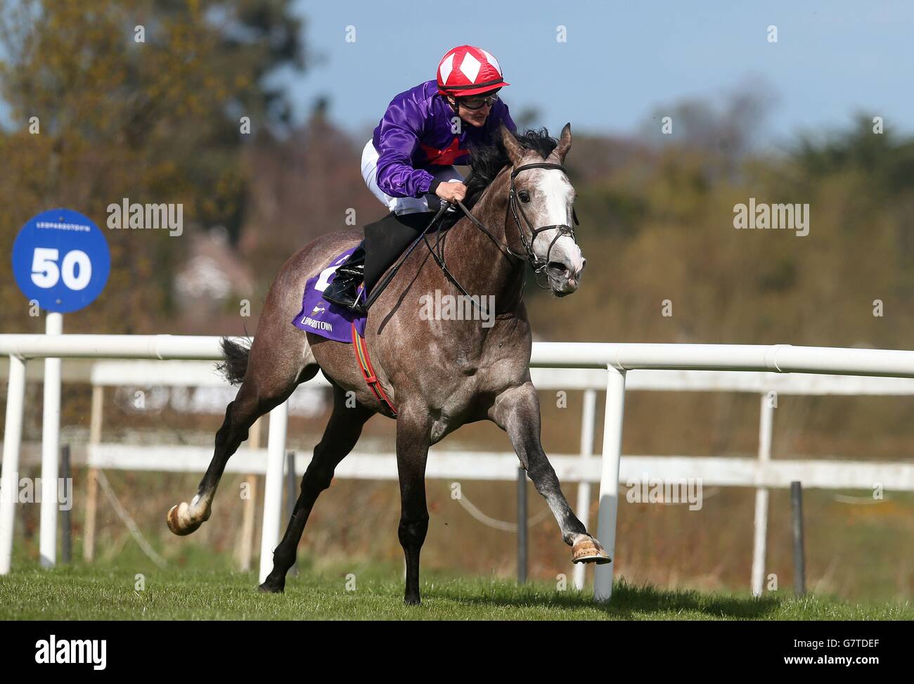 Horse Racing - Leopardstown Racecourse Stock Photo - Alamy