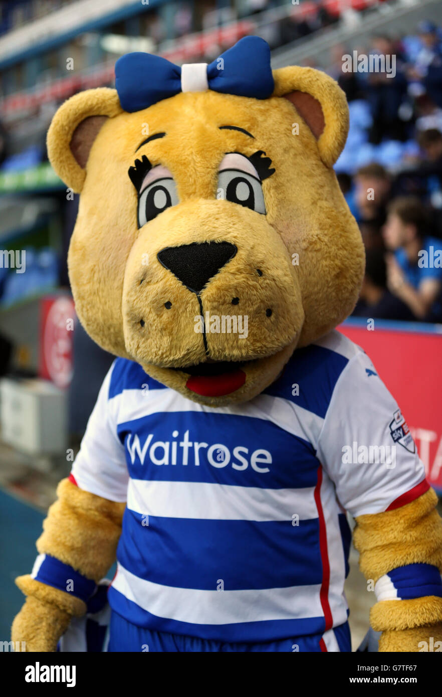 Queensley royal the reading mascot hi-res stock photography and images ...