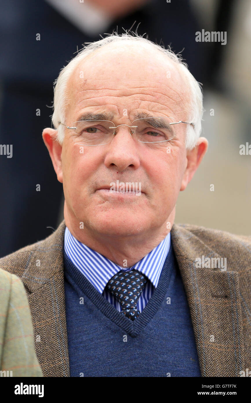 Ted walsh horse hi-res stock photography and images - Alamy