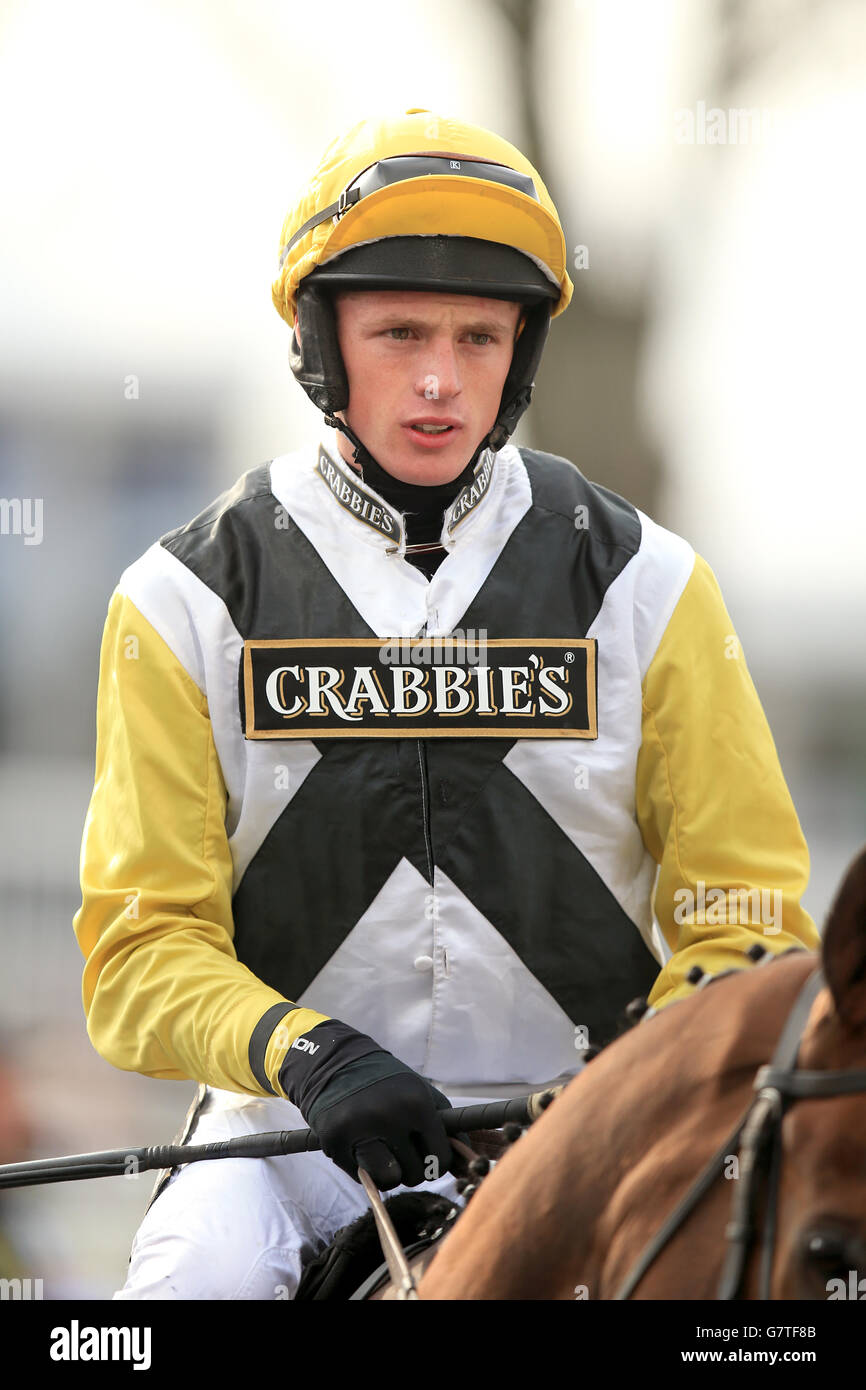 Conor ring jockey hi-res stock photography and images - Alamy