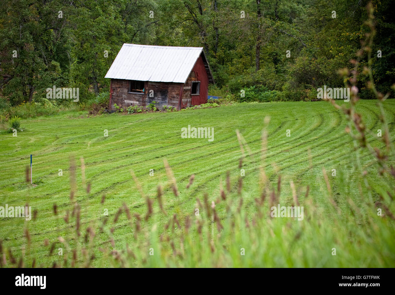 Cabin in the countryside Stock Photo - Alamy