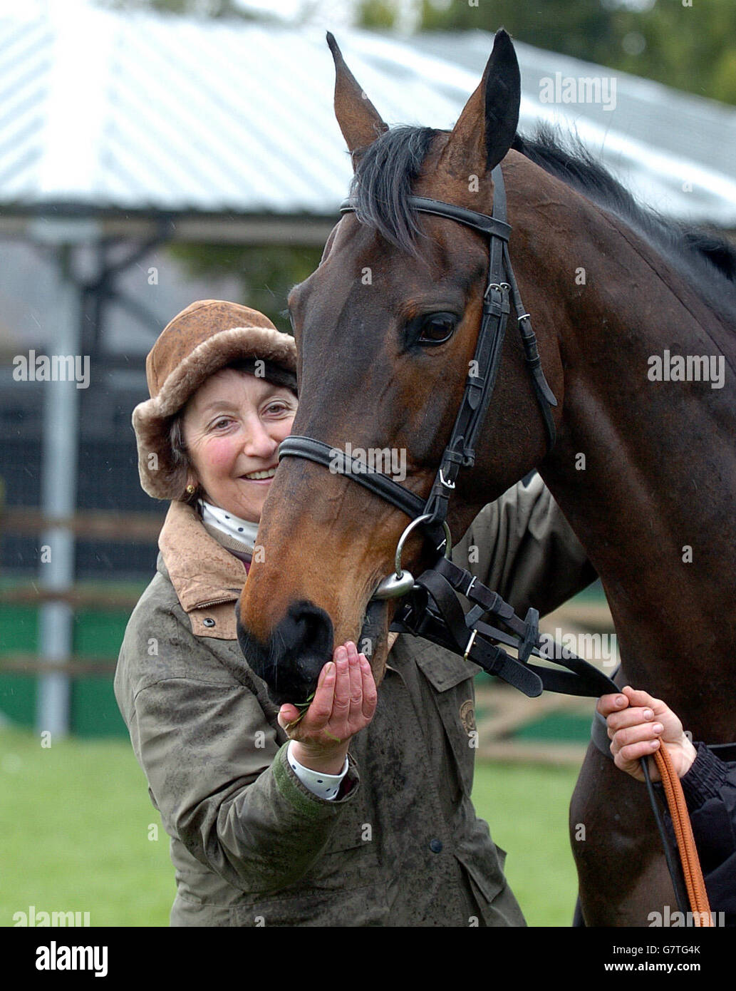 Horse racing henrietta knight stables open day west lockinge hi-res ...