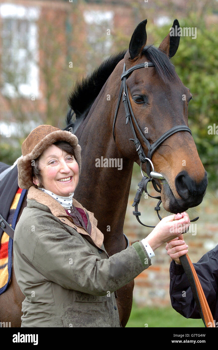 Best mate horse hi-res stock photography and images - Alamy