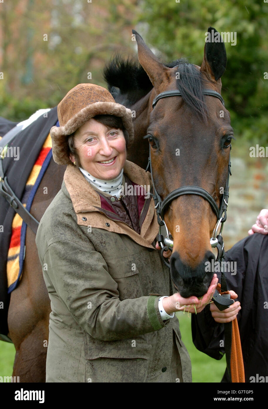 Horse racing henrietta knight stables open day west lockinge hi-res ...