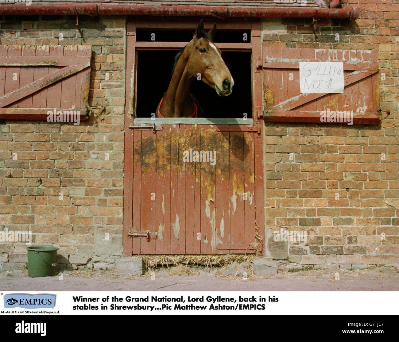 Grand national winner preston farm stables hi-res stock photography and ...