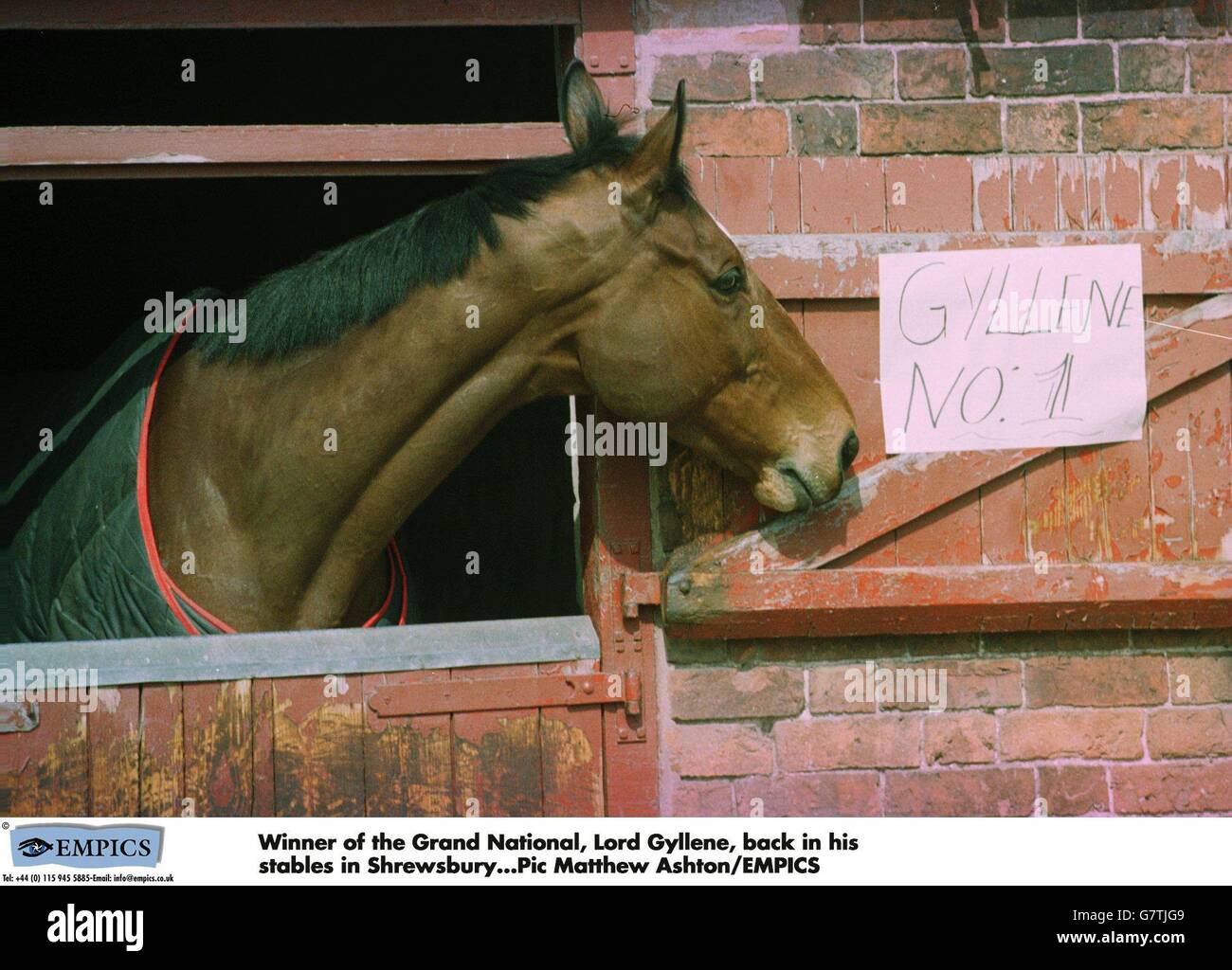 Grand national winner preston farm stables hi-res stock photography and ...