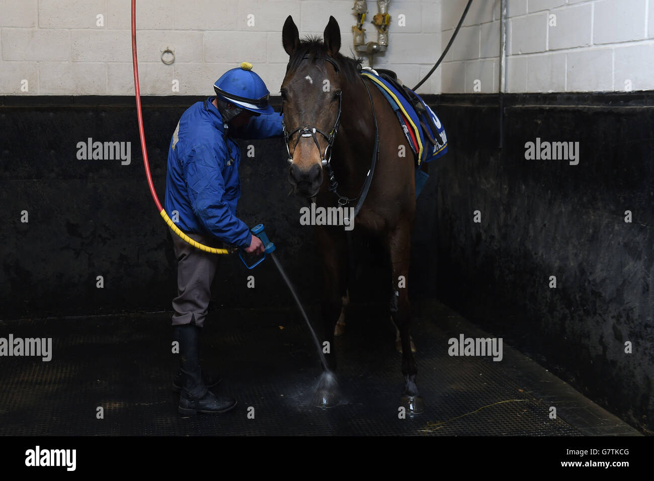 Stable visit jackdaws castle hi-res stock photography and images - Alamy