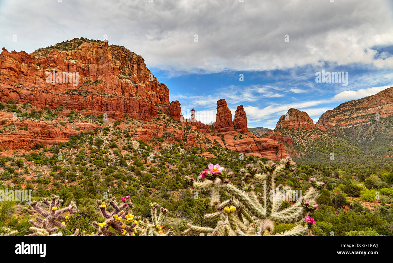 Madonna and Child Rock Formation in Sedona Arizona with cactus in the ...