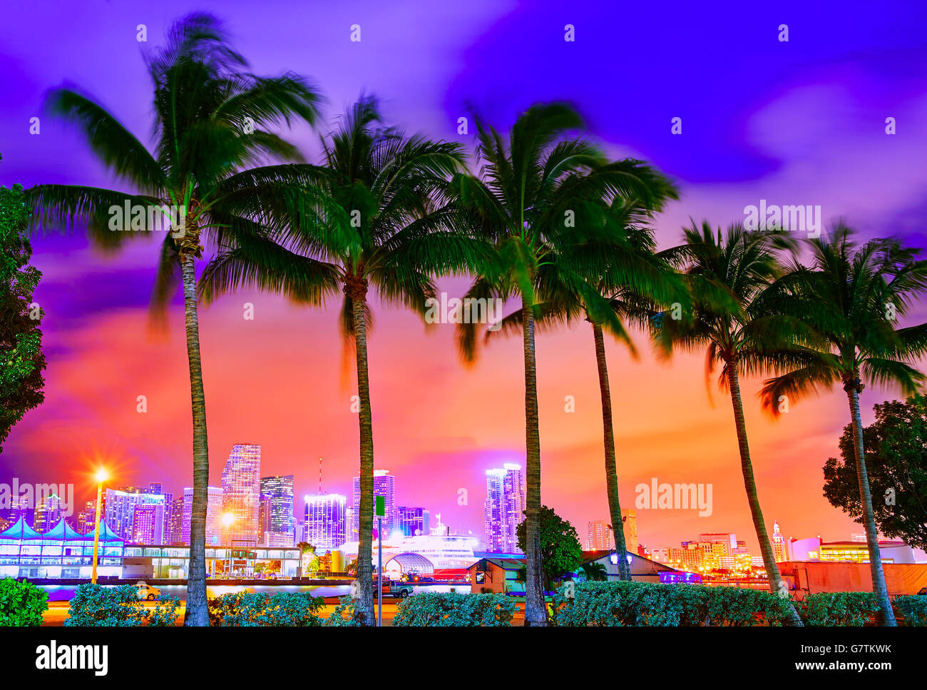 Miami skyline at sunset with palm trees in Florida USA Stock Photo - Alamy