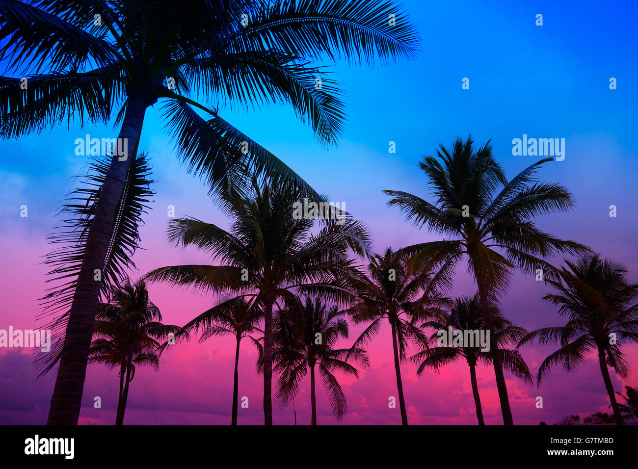 Miami Beach South Beach sunset palm trees in Ocean Drive Florida Stock ...