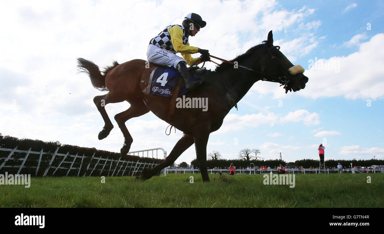 Horse Racing - BoyleSports Irish Grand National Day - Fairyhouse ...
