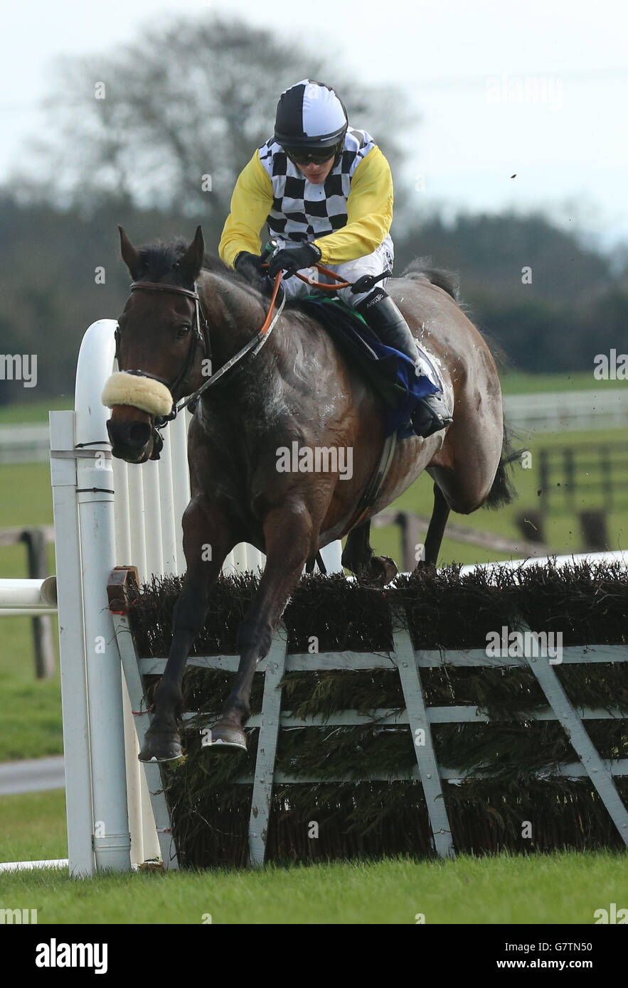 Horse Racing - BoyleSports Irish Grand National Day - Fairyhouse ...