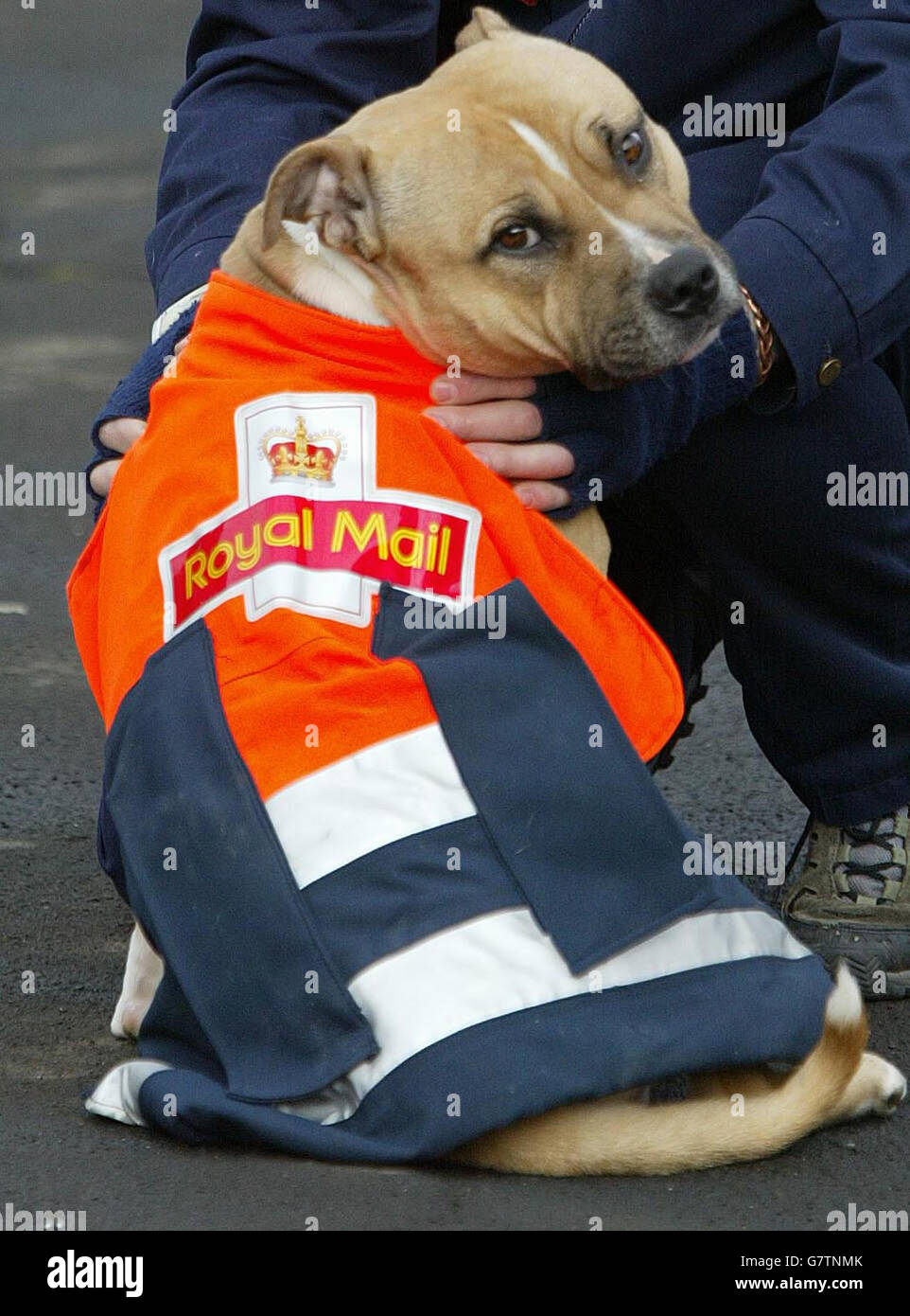 A Postman and his Dog - Tynemouth Stock Photo - Alamy