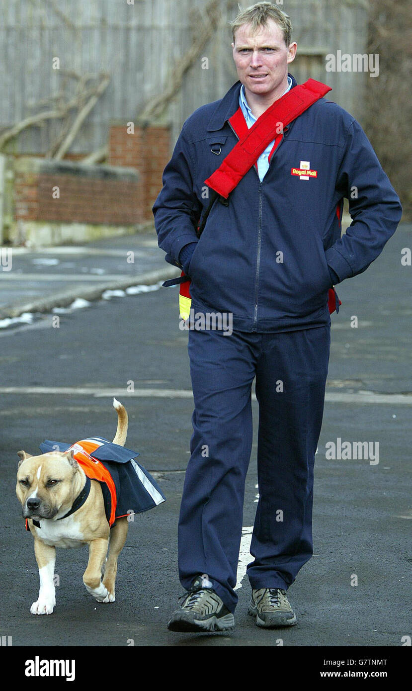 A Postman and his Dog - Tynemouth Stock Photo - Alamy