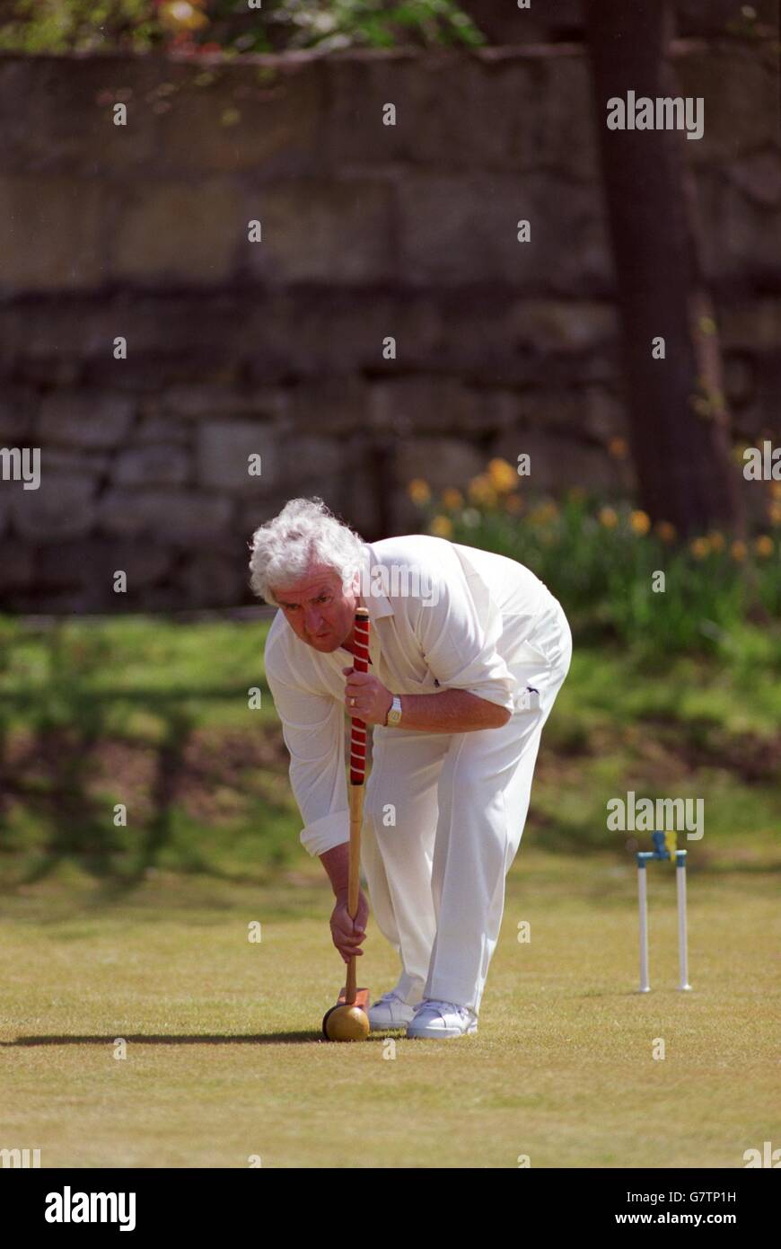 Croquet. The Field of Croquet Stock Photo - Alamy