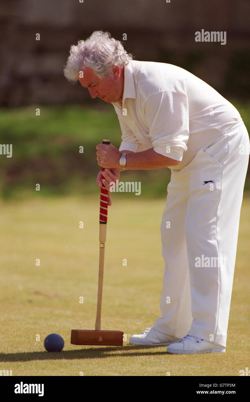 Croquet. The Field of Croquet Stock Photo - Alamy