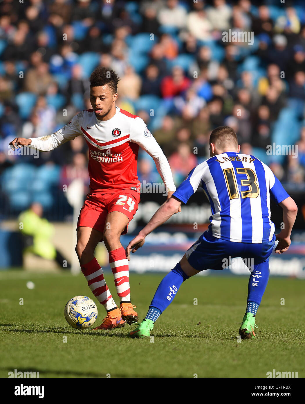 Sheffield Wednesday's Caolan Maguire and Charlton Athletic's Jordan ...