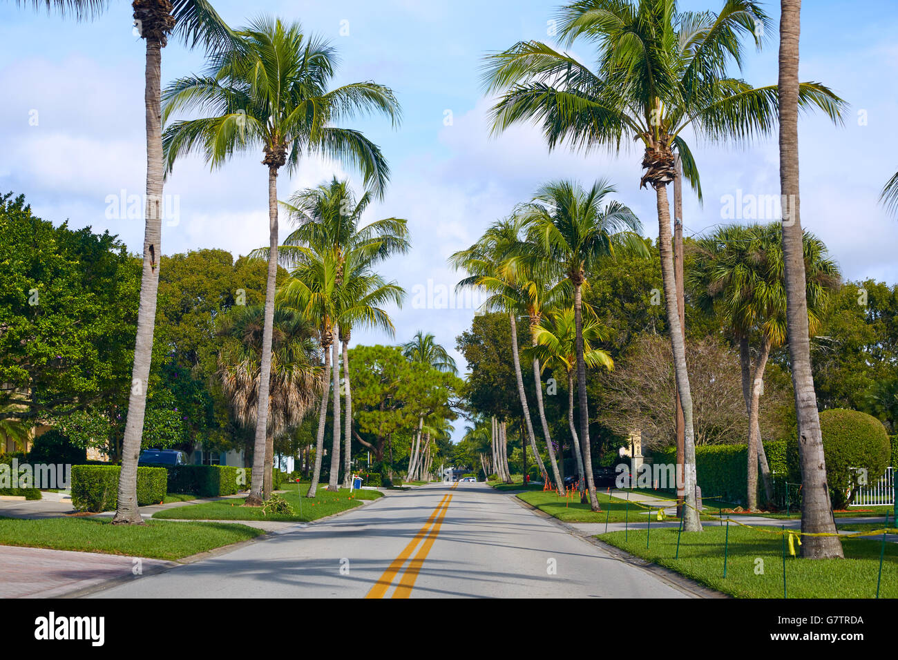 Naples beach streets with palm trees at Florida USA Stock Photo - Alamy