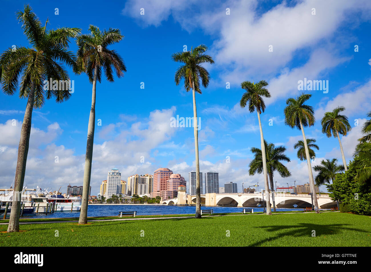 Royal park bridge palm beach hi-res stock photography and images - Alamy