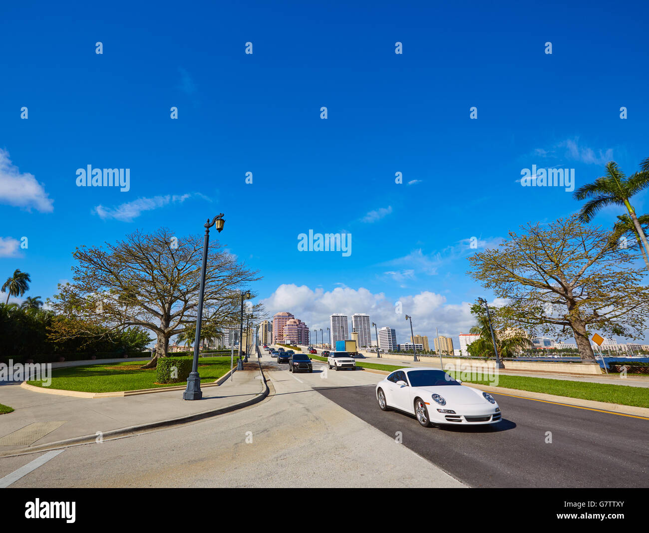 Royal palm way hi-res stock photography and images - Alamy