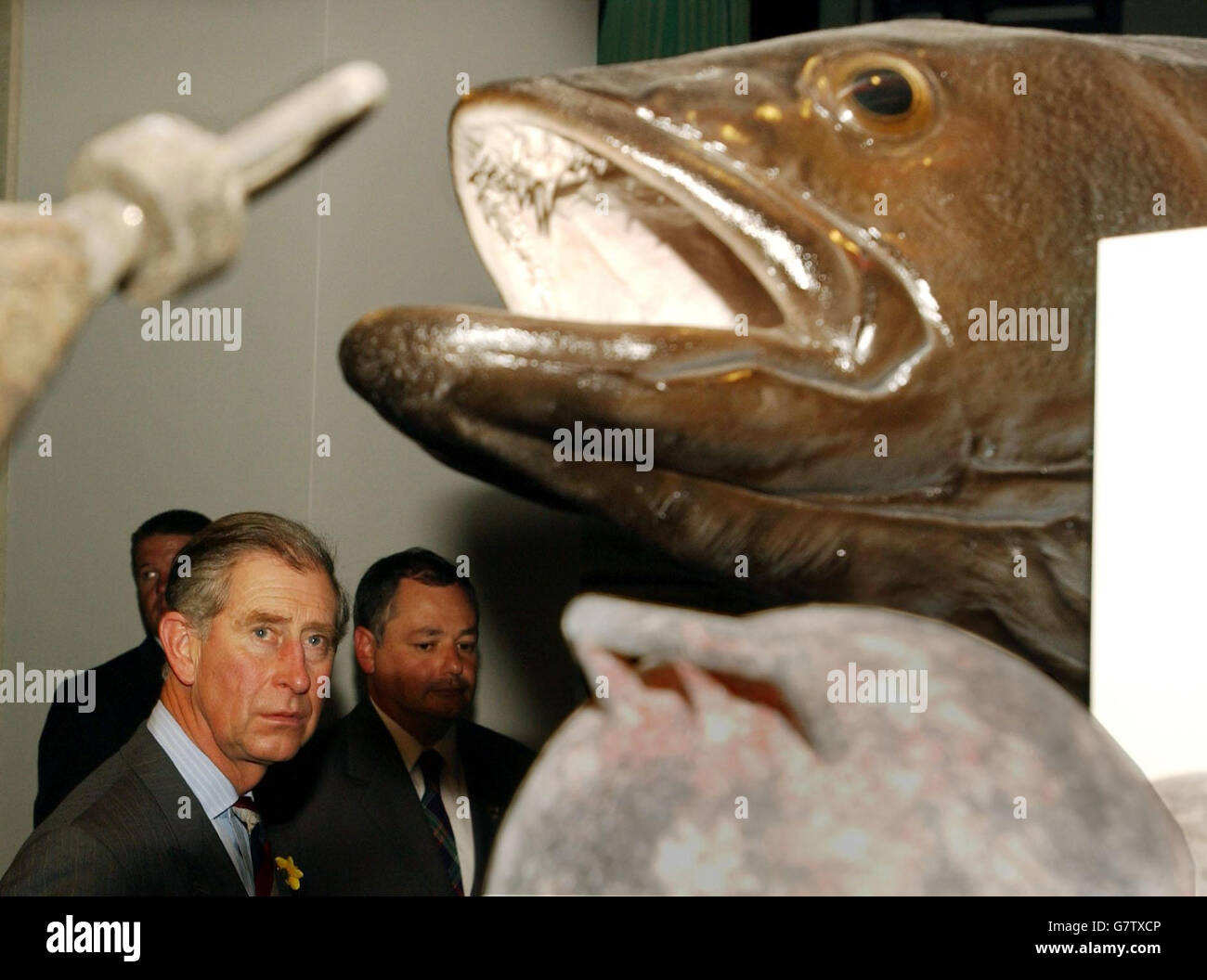 The Prince of Wales studies a giant stuffed fish at the Maritime Museum ...