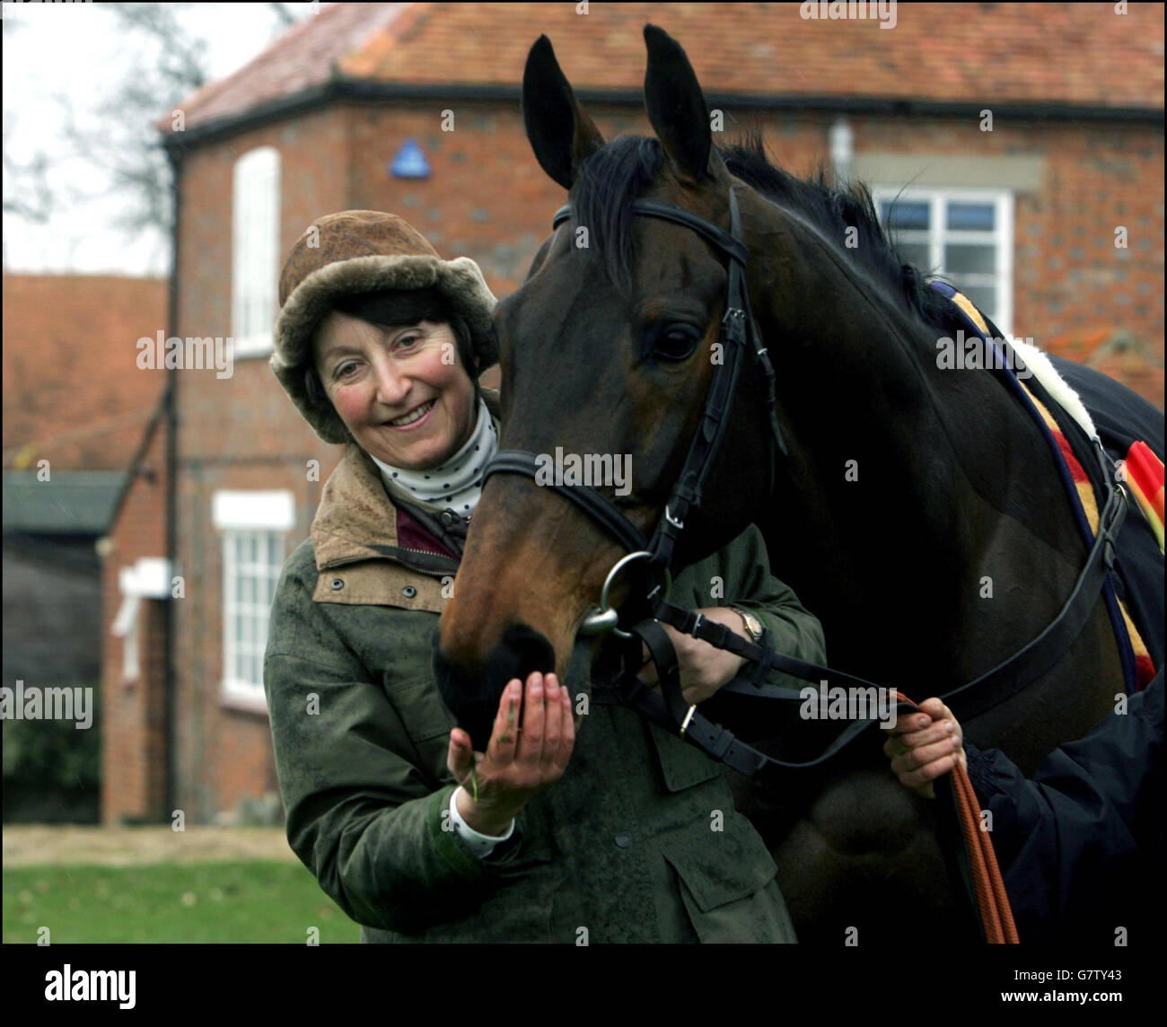 Horse racing henrietta knight stables open day west lockinge hi-res ...
