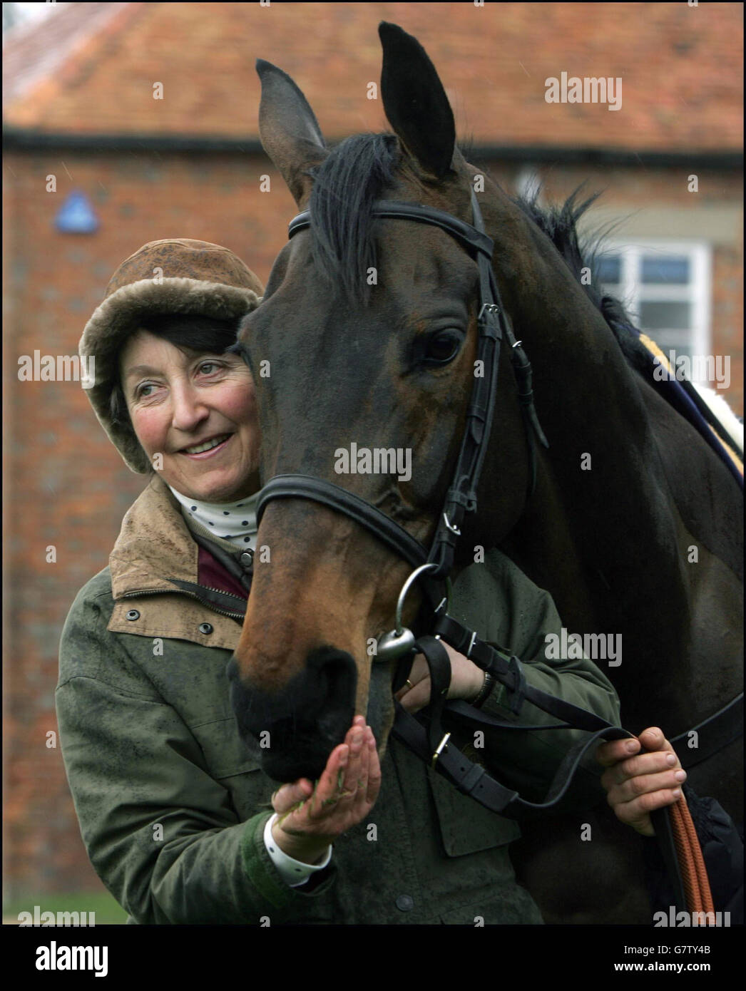 Horse racing henrietta knight stables open day west lockinge hi-res ...