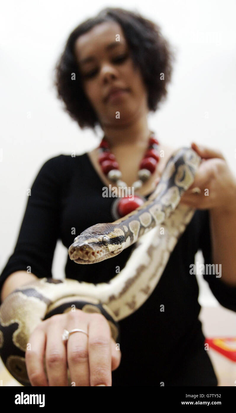 Fairtrade Fortnight - Edinburgh Zoo Stock Photo - Alamy