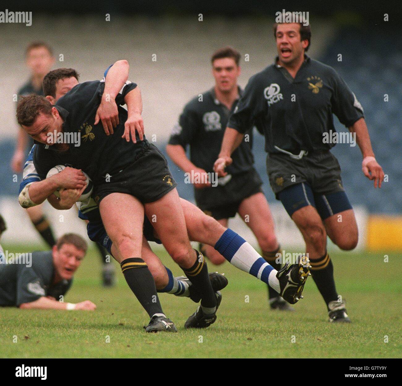 Rob henderson wasps hi-res stock photography and images - Alamy