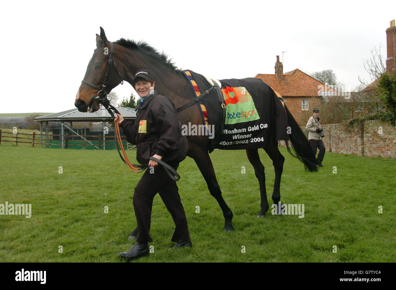 Best mate horse hi-res stock photography and images - Alamy