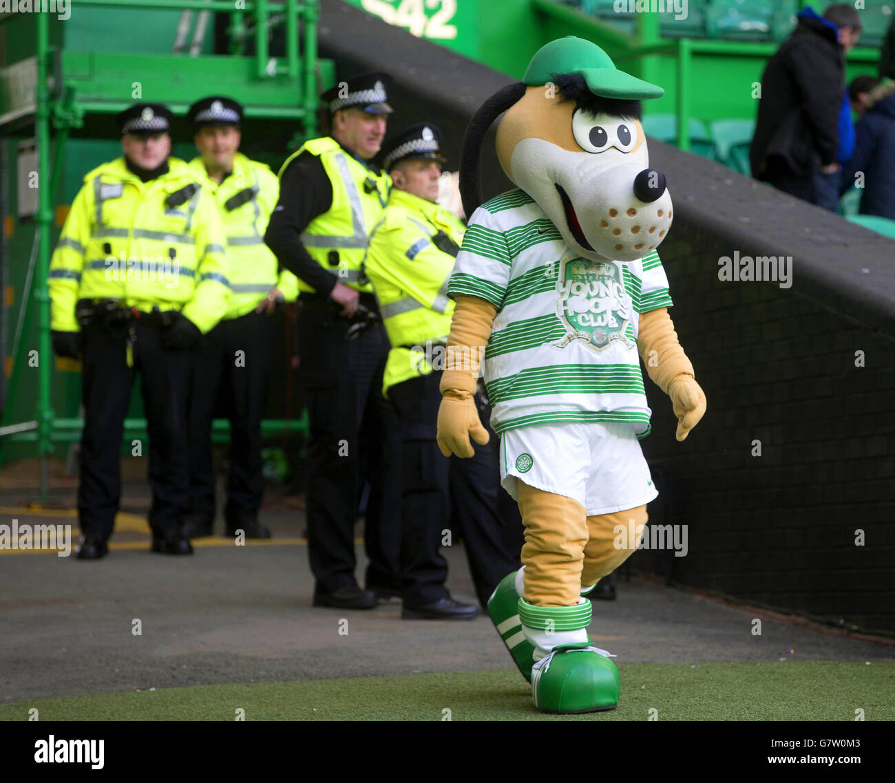 Celtic mascot hoopy the huddle hound hi-res stock photography and ...