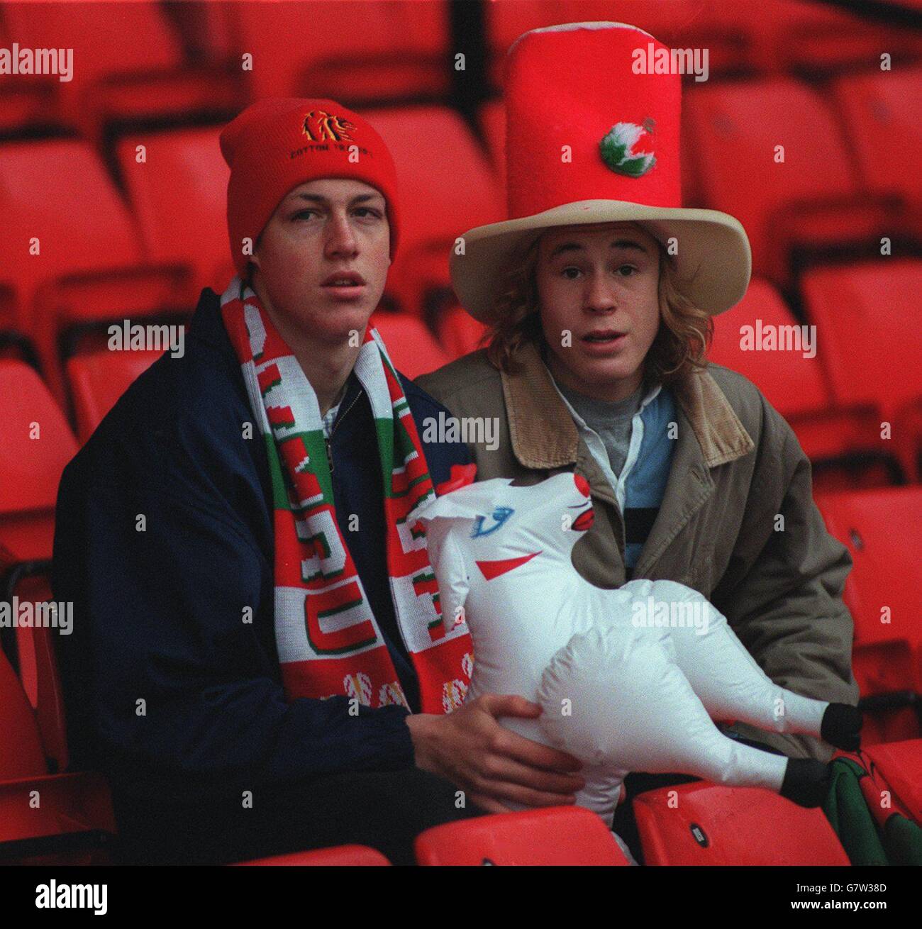 Welsh fans with the sheep hi-res stock photography and images - Alamy