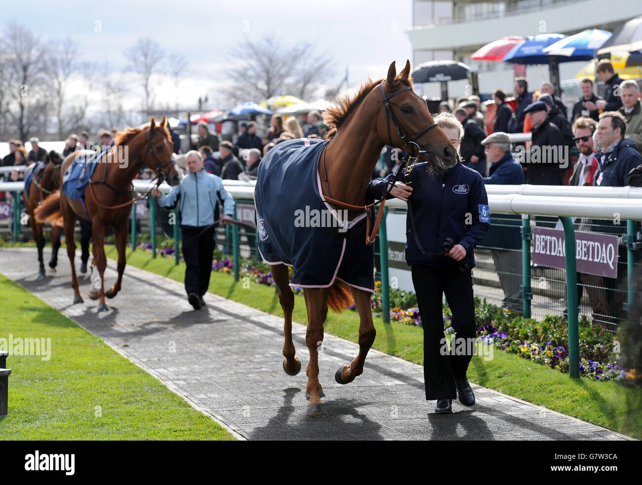 Horse Racing - Lincoln Family Fun Day - Doncaster Racecourse Stock ...
