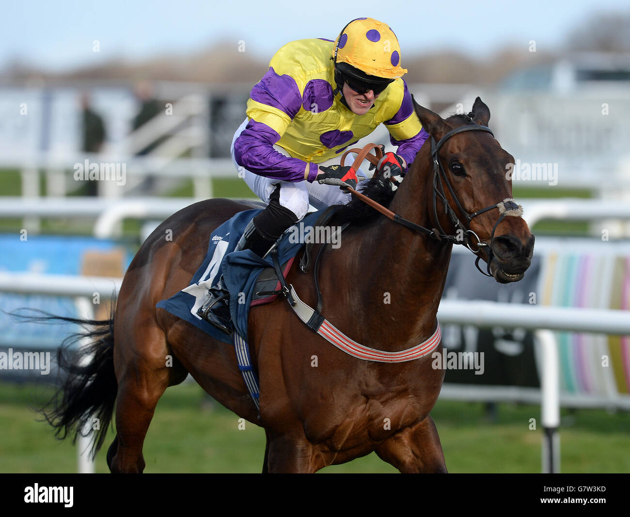 Horse Racing - Lincoln Family Fun Day - Doncaster Racecourse Stock ...