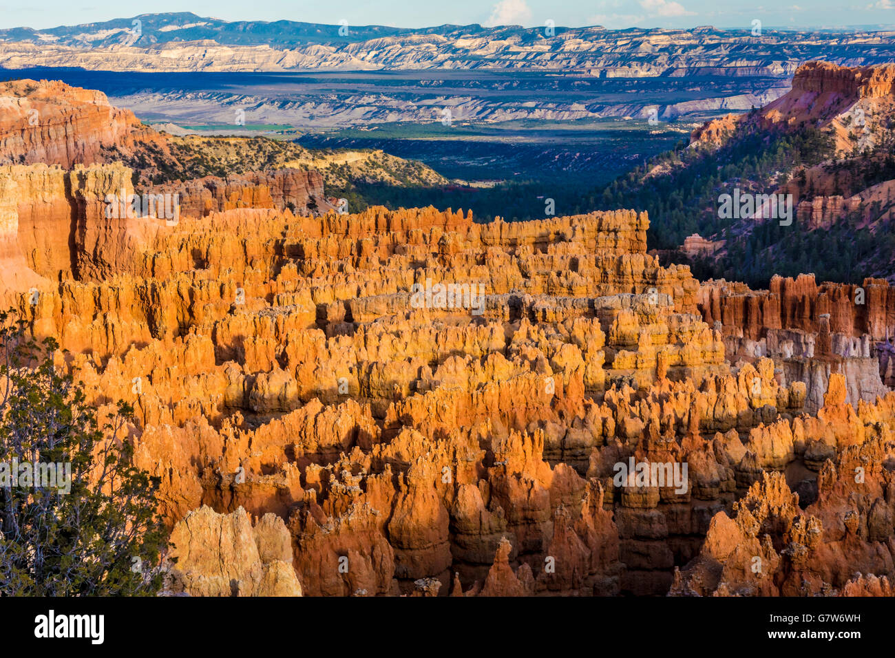 bryce canyon national park, ut us Stock Photo - Alamy