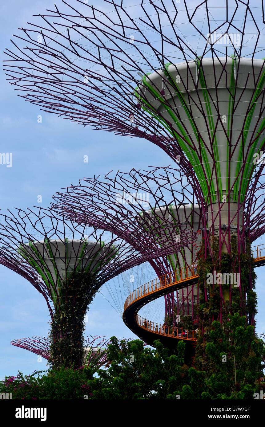 Artificial Supertrees structure and OCBC Skyway path at Gardens by the ...
