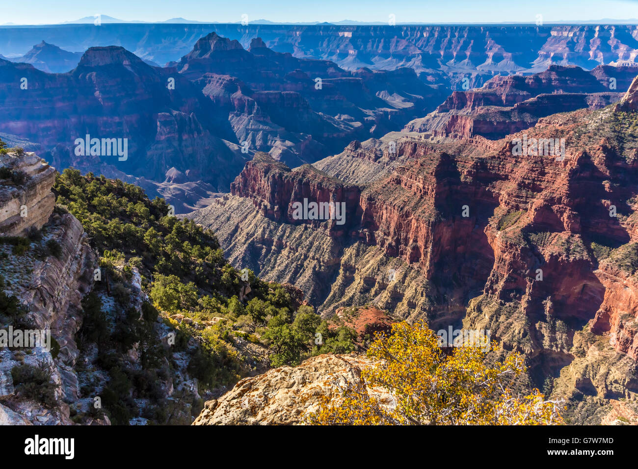 landscape north rim of grand canyon, arizona us Stock Photo - Alamy