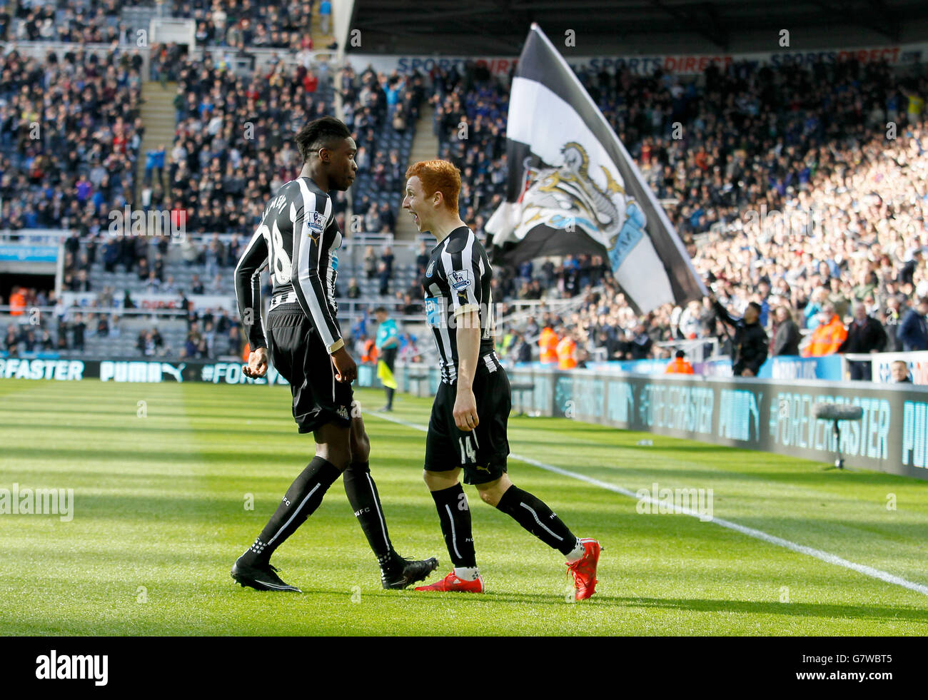 Newcastle United's Jack Colback celebrates his equaliser with Newcastle ...