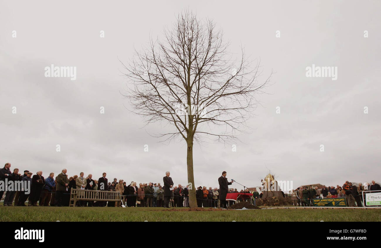 Official planting of the new lime tree - St Lawrence ground Stock Photo ...